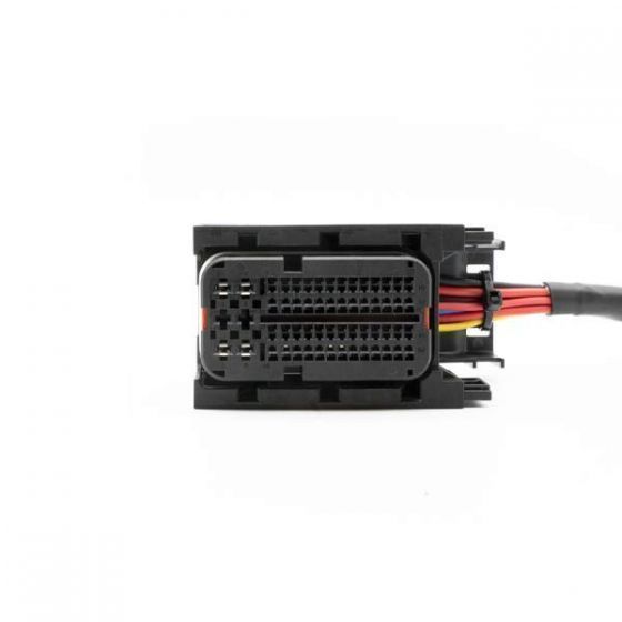 Cable de conexión con ECUs DENSO | Magicmotorsport