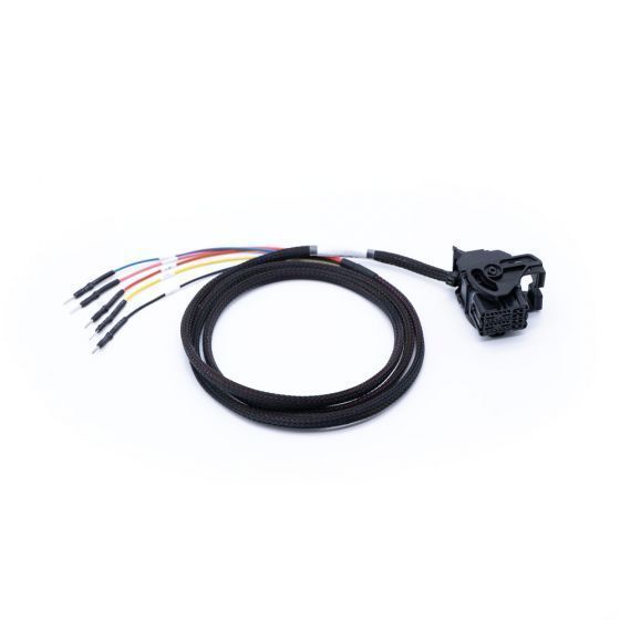 Cable for RENAULT MD1CS006 ECU | Magicmotorsport